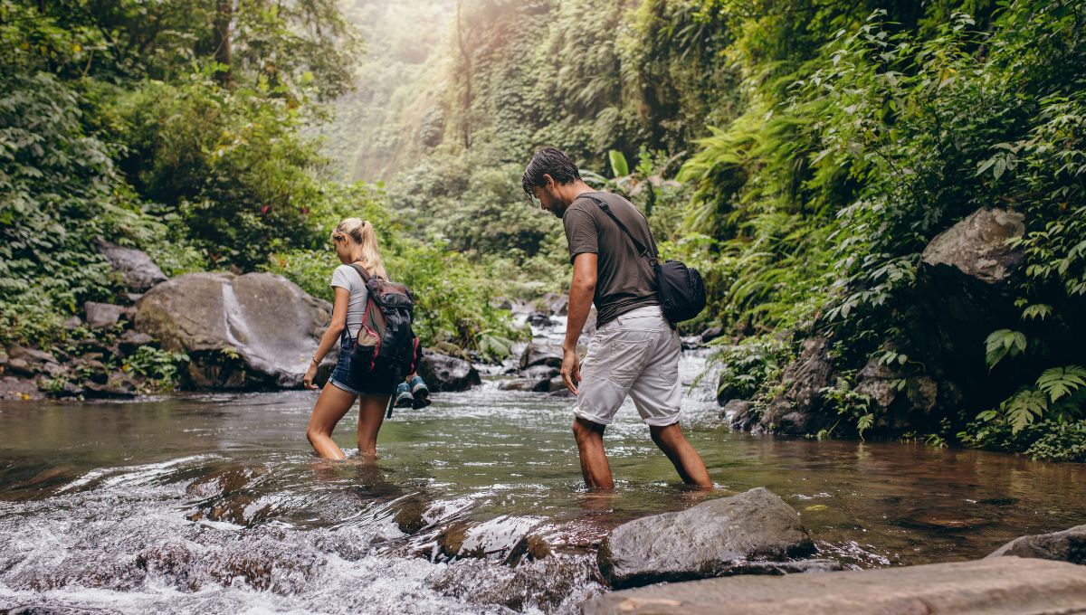 Income stream for life? Consider your lifetime annuity options